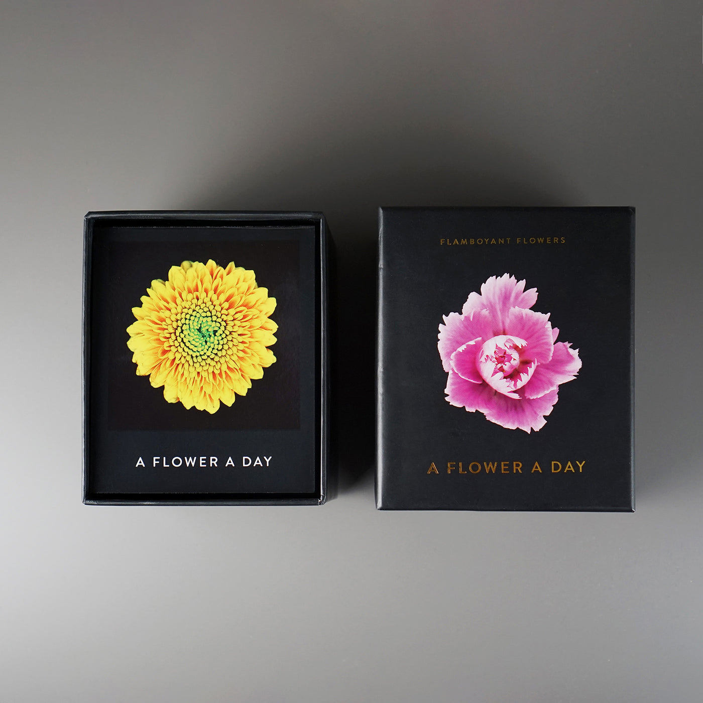 Flamboyant Flowers (Mängelexemplar)