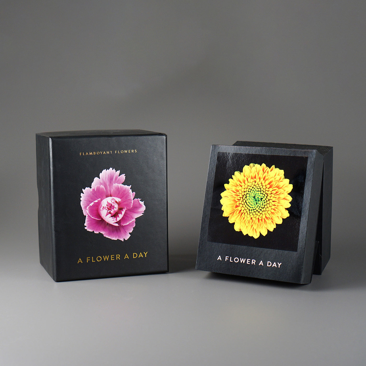 Flamboyant Flowers (Mängelexemplar)